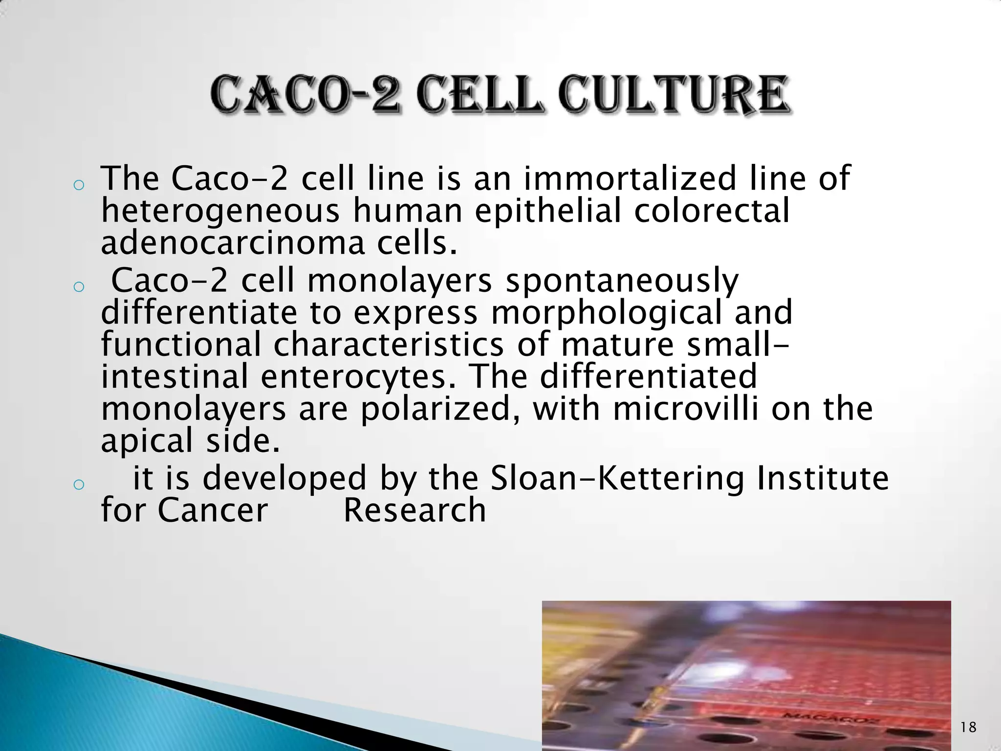 different cell line use in absorption study | PPTX | Biological ...