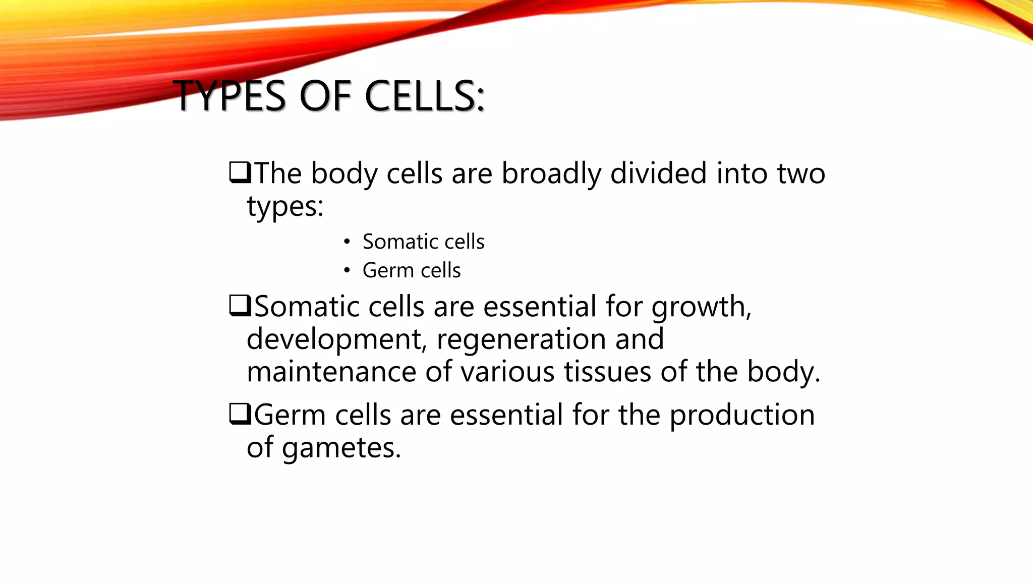 Human Cell - Structure and Clinical anatomy | PPTX