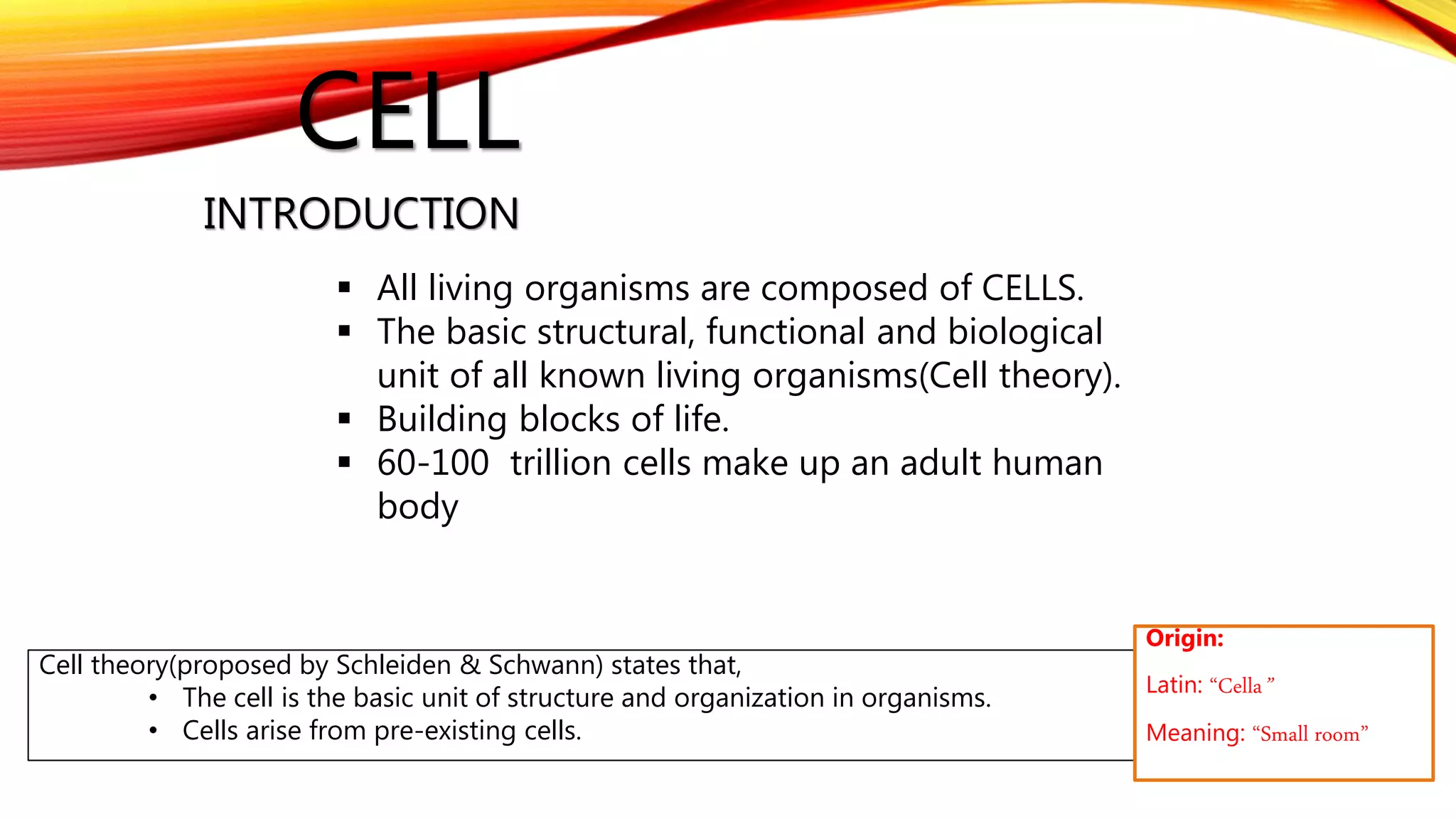Human Cell - Structure and Clinical anatomy | PPTX