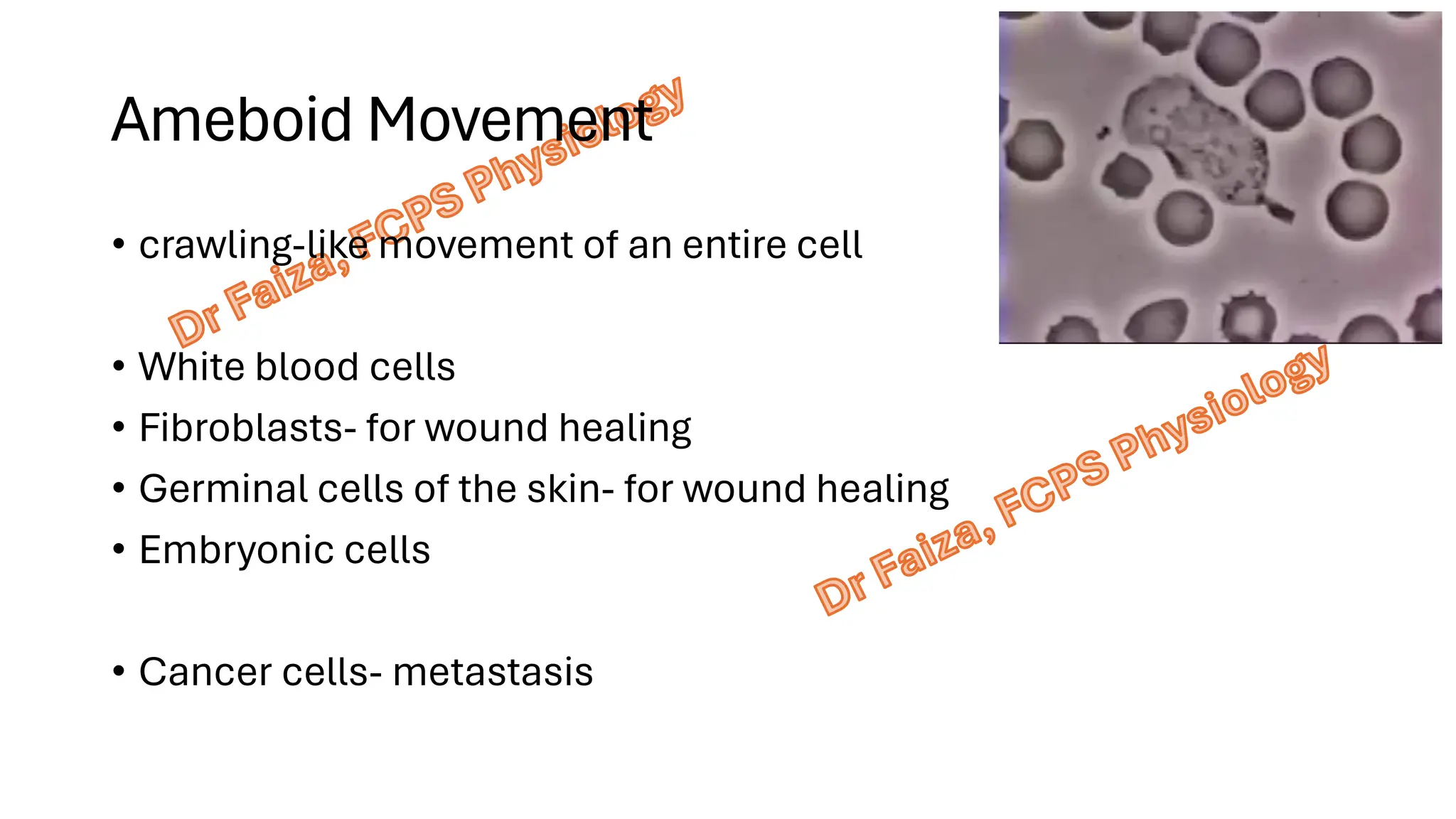 Cell locomotion (Ameboid/ciliary/flagellar movement) | PDF