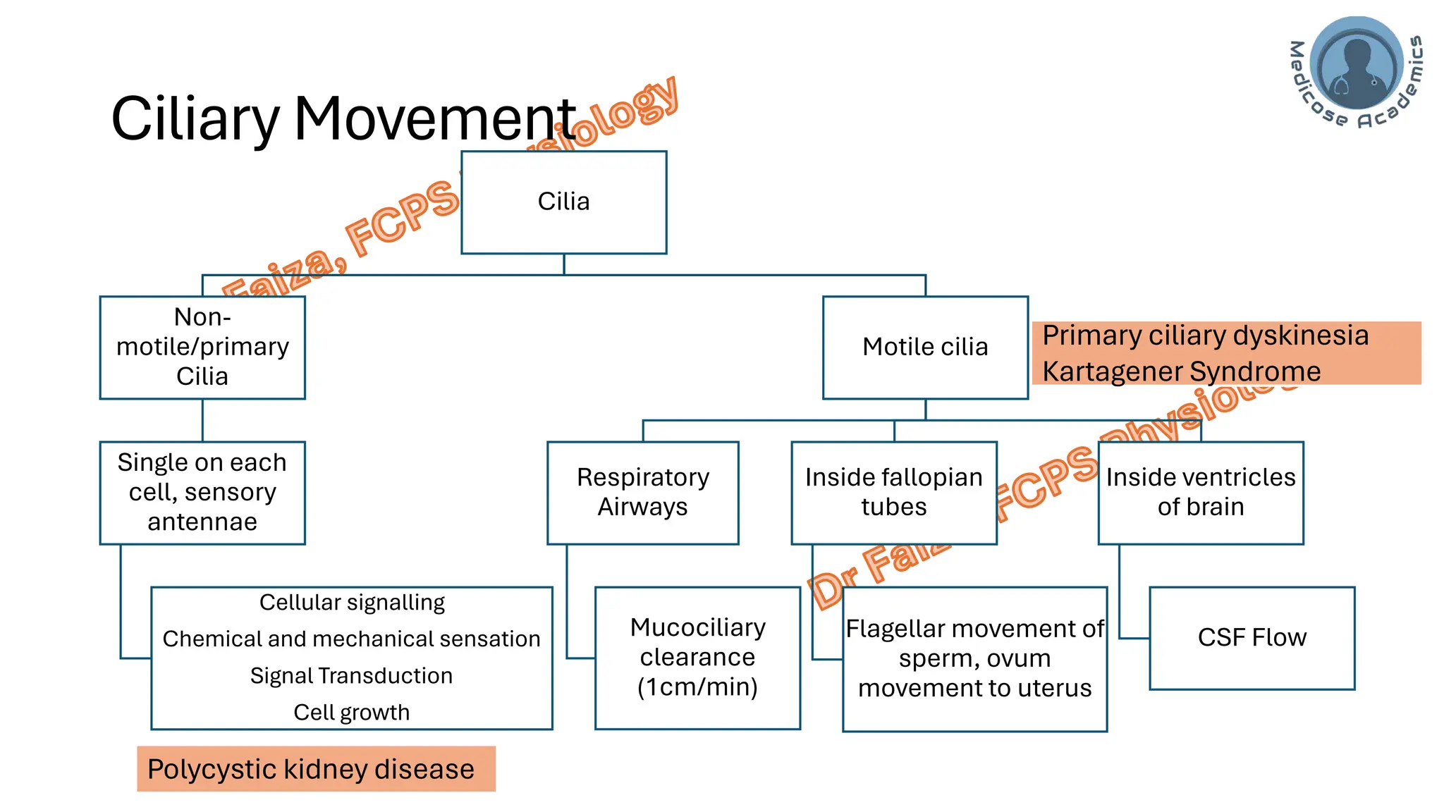 Cell locomotion (Ameboid/ciliary/flagellar movement) | PDF