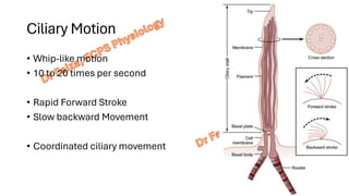 Cell locomotion (Ameboid/ciliary/flagellar movement) | PDF