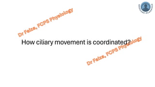Cell locomotion (Ameboid/ciliary/flagellar movement) | PDF