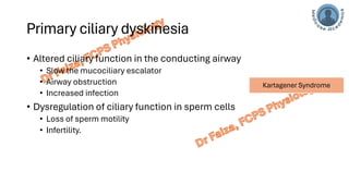 Cell locomotion (Ameboid/ciliary/flagellar movement) | PDF | Biological ...