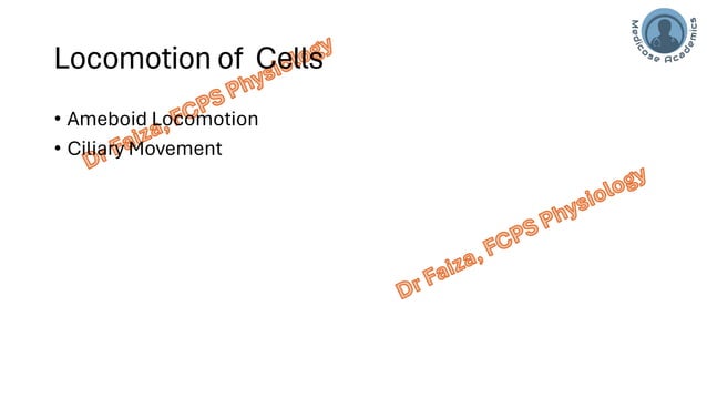 Cell locomotion (Ameboid/ciliary/flagellar movement) | PDF | Biological ...
