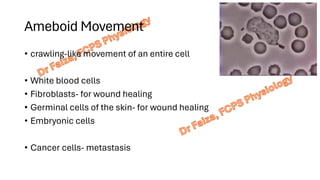 Cell locomotion (Ameboid/ciliary/flagellar movement) | PDF