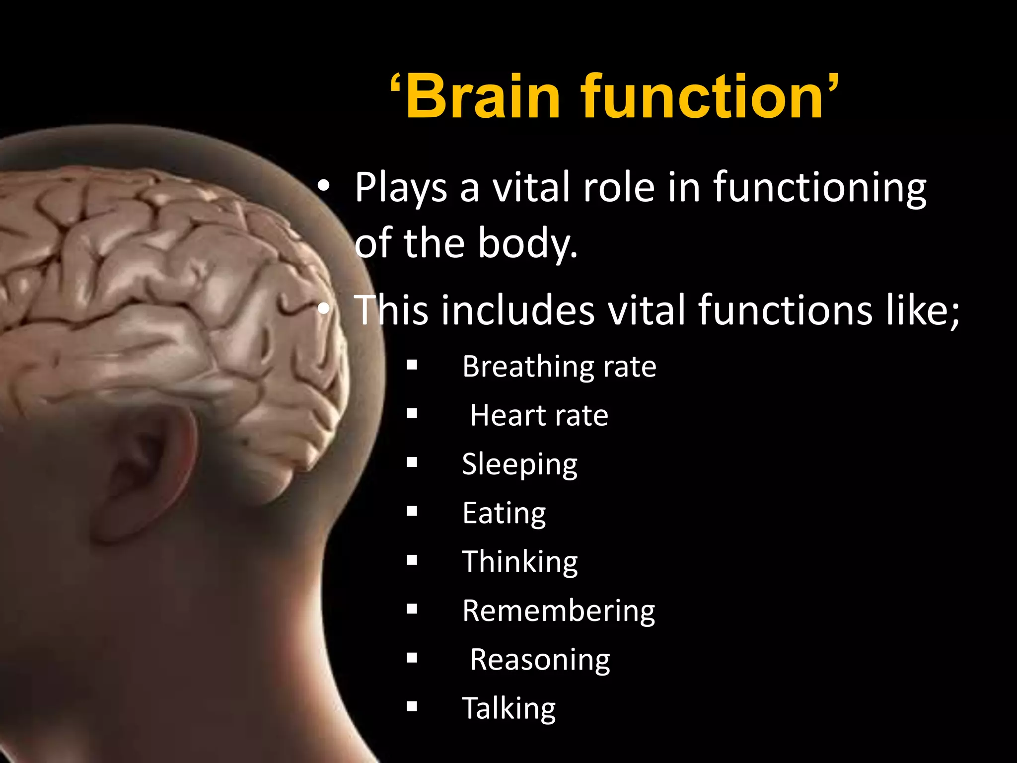 Cell mechanism of brain function | PPTX