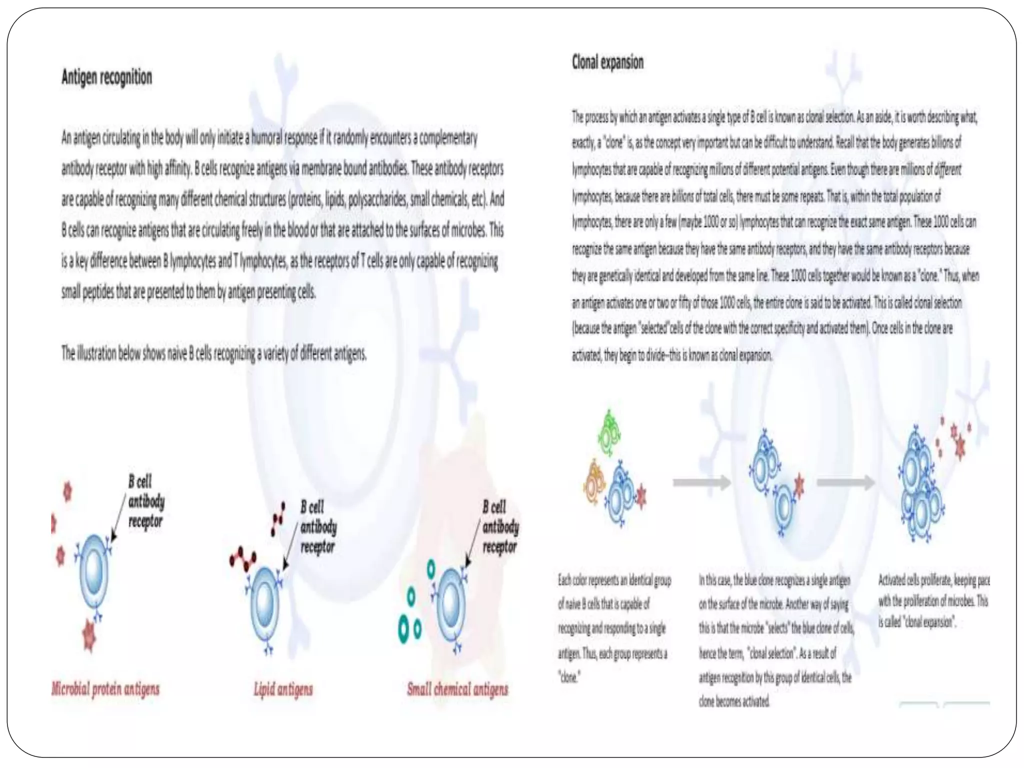 Cell mediated & humoral immunity | PPTX