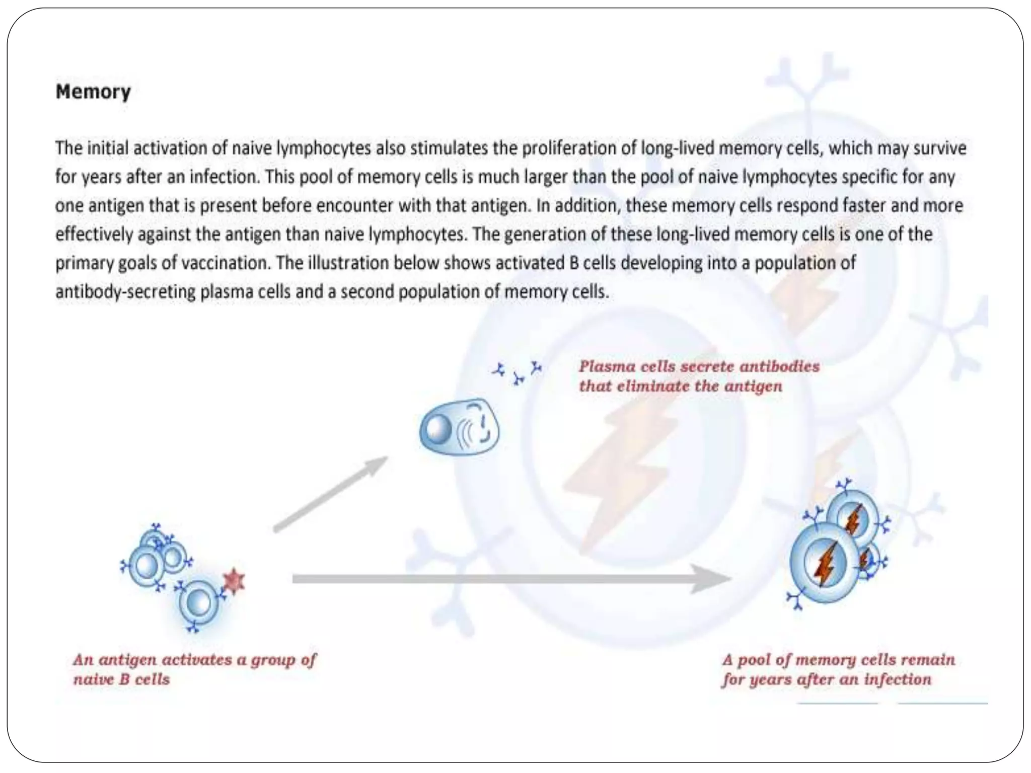 Cell mediated & humoral immunity | PPTX