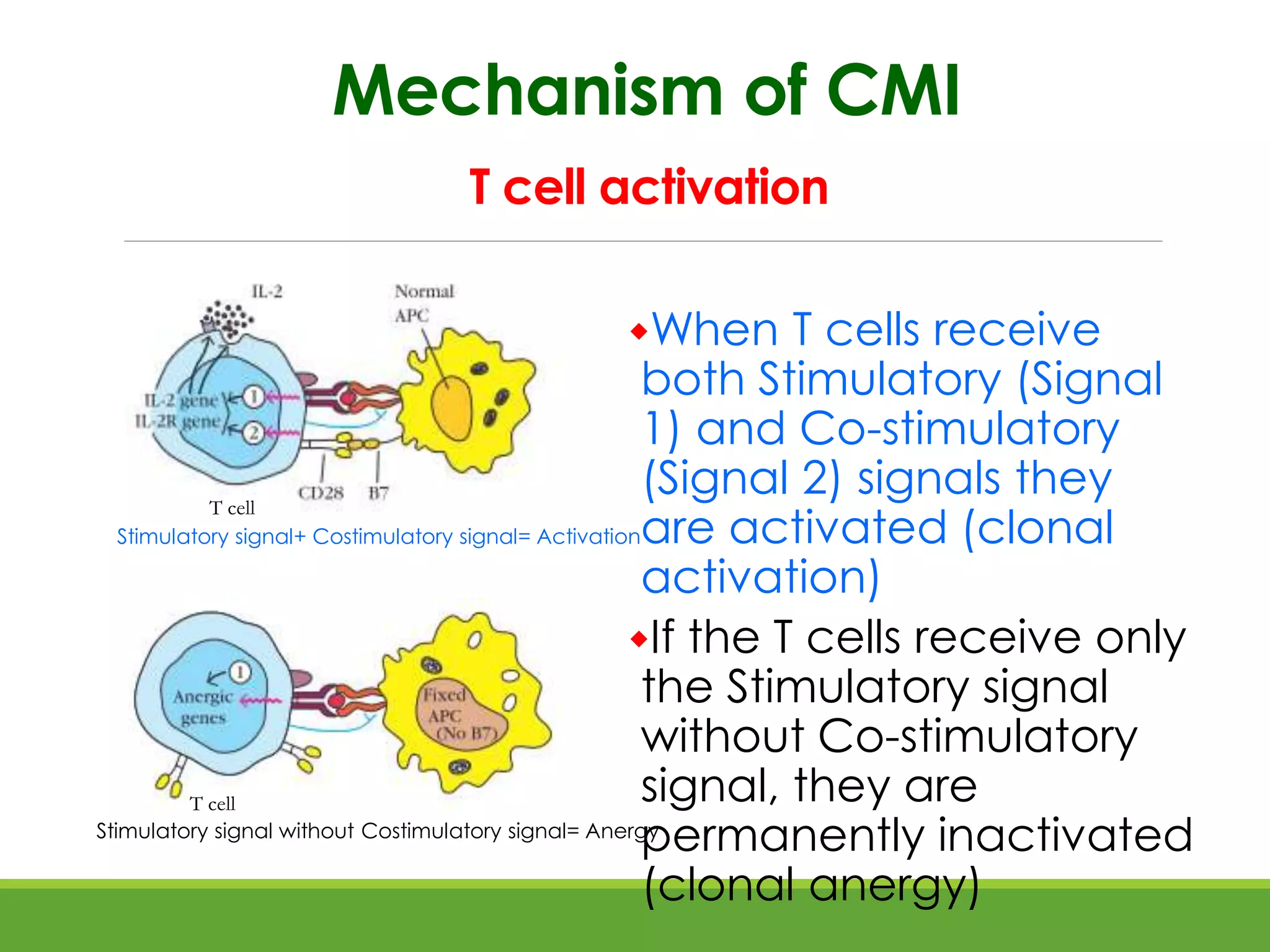 Cell mediated immune response | PPTX