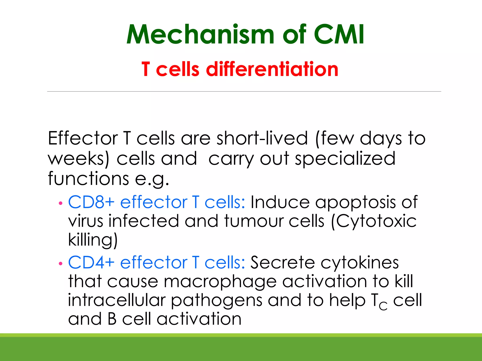 Cell mediated immune response | PPTX