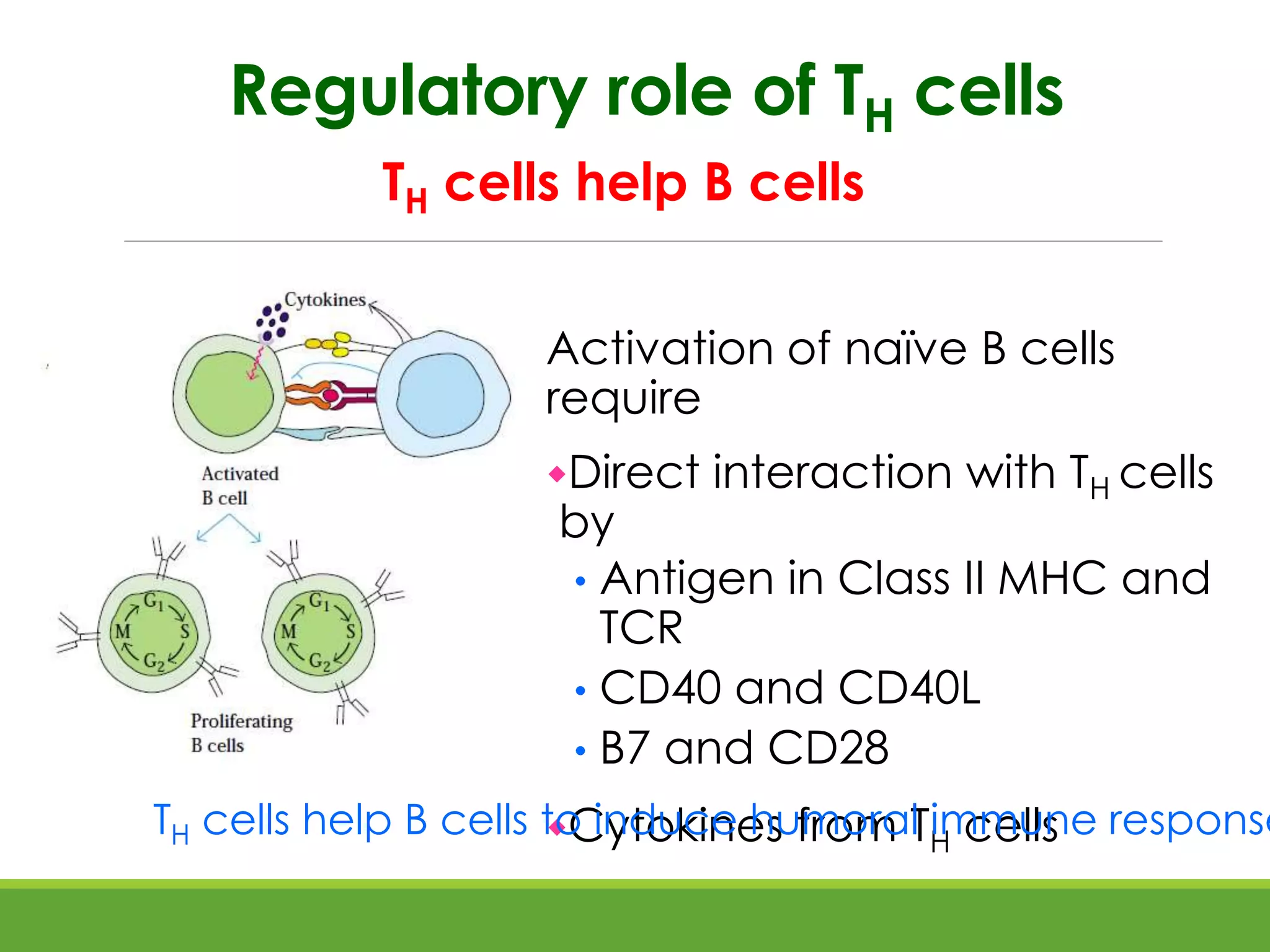 Cell mediated immune response | PPTX