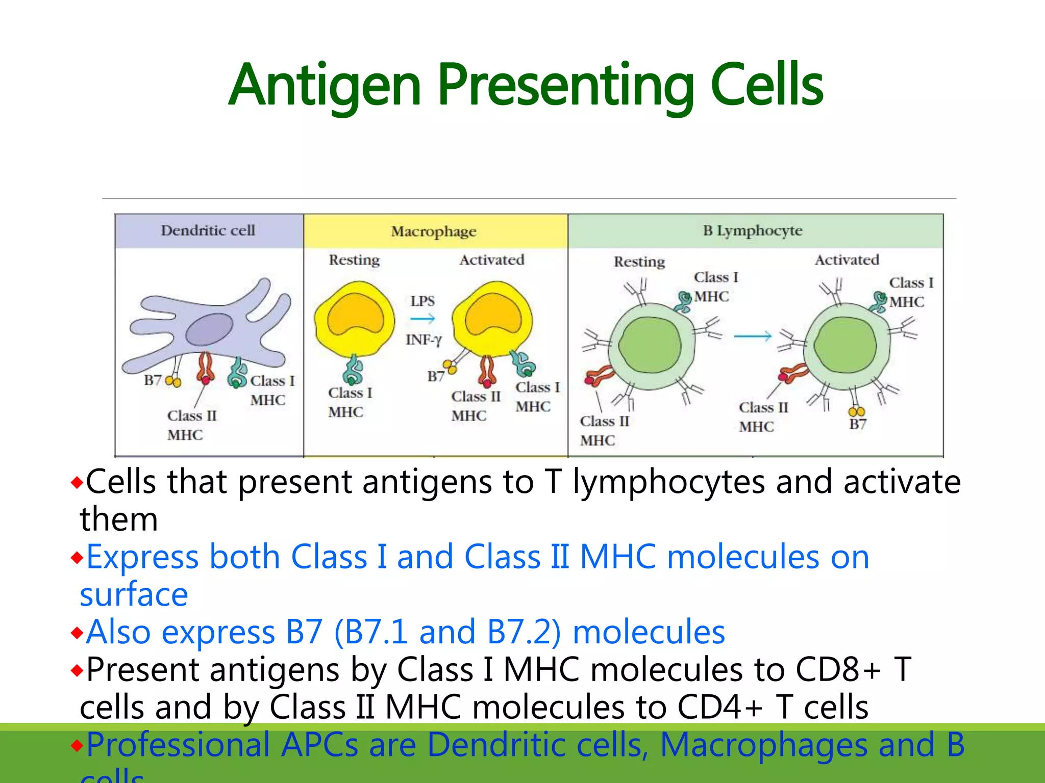 Cell mediated immune response | PPTX