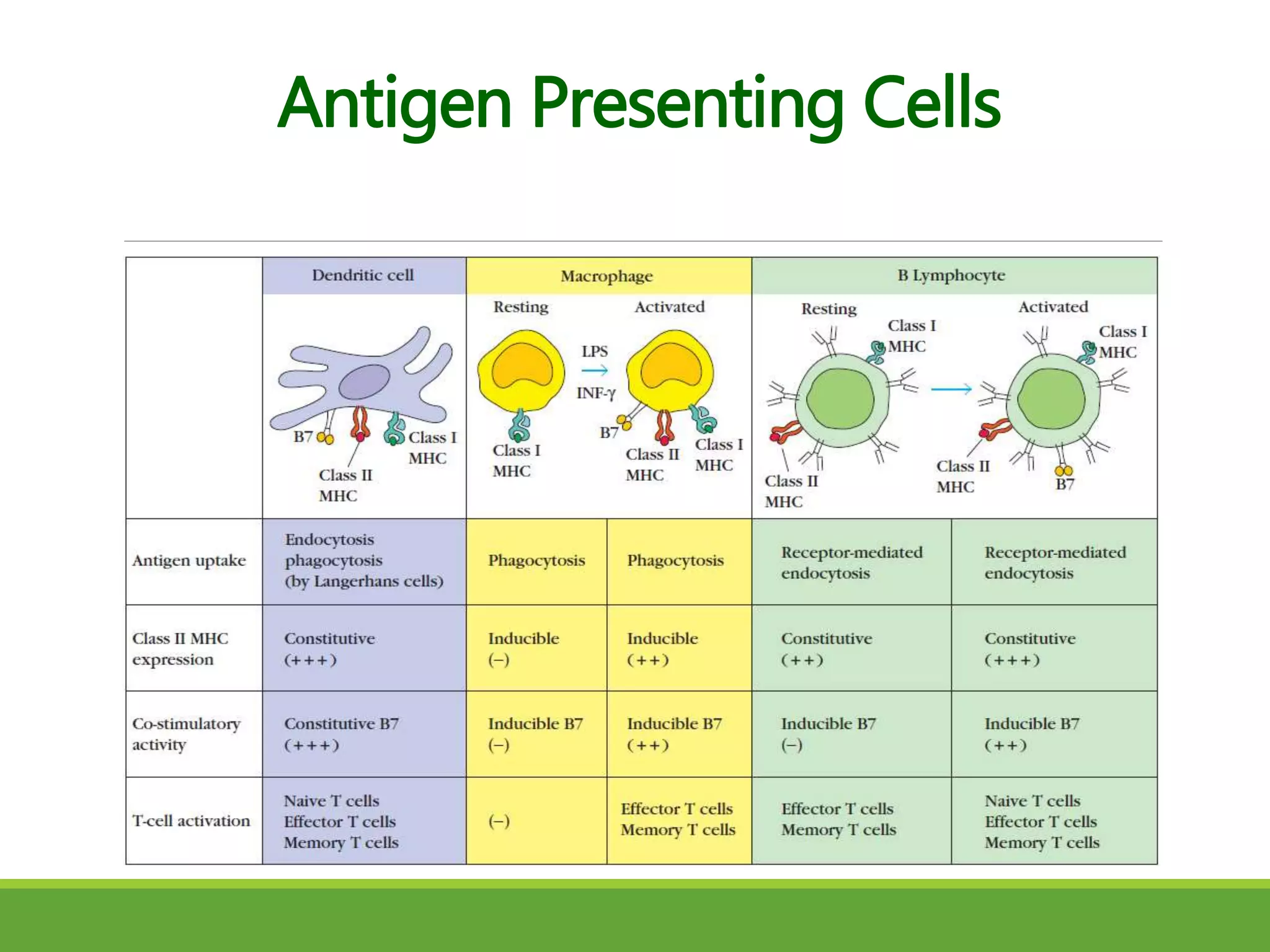 Cell mediated immune response | PPTX