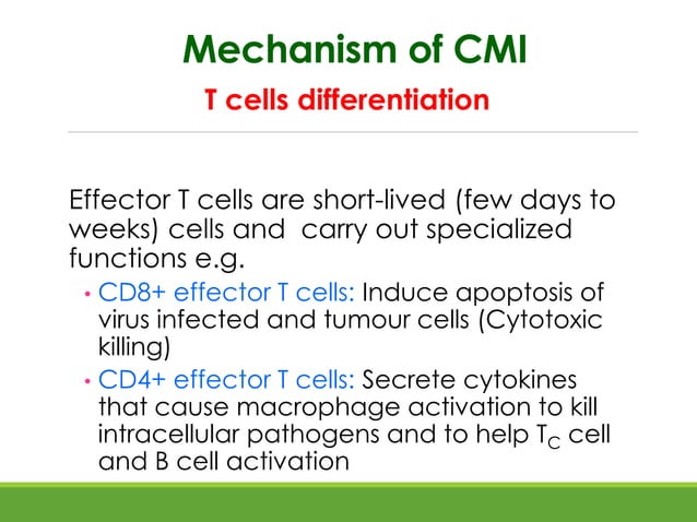 Cell mediated immune response | PPTX | Chemistry | Science