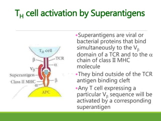 Cell mediated immune response | PPTX