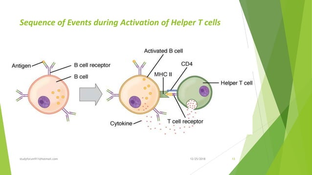 Cell mediated immunity | PPTX | Infectious Diseases | Diseases and ...