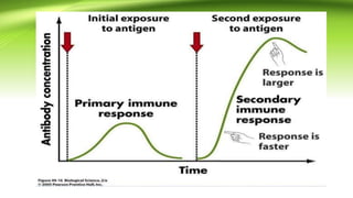 Humoral response | PPT