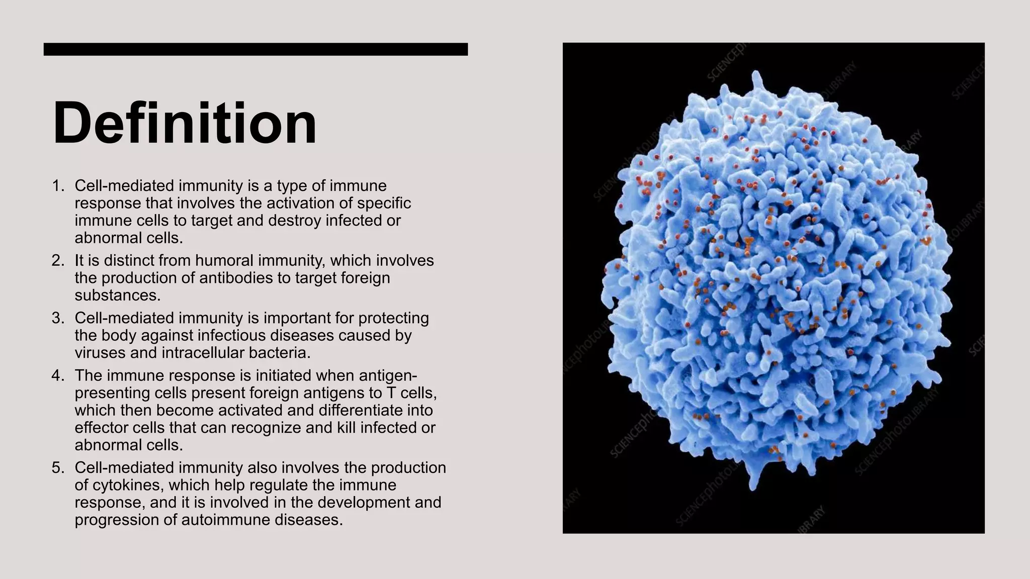 Cell Mediated immunity.pptx