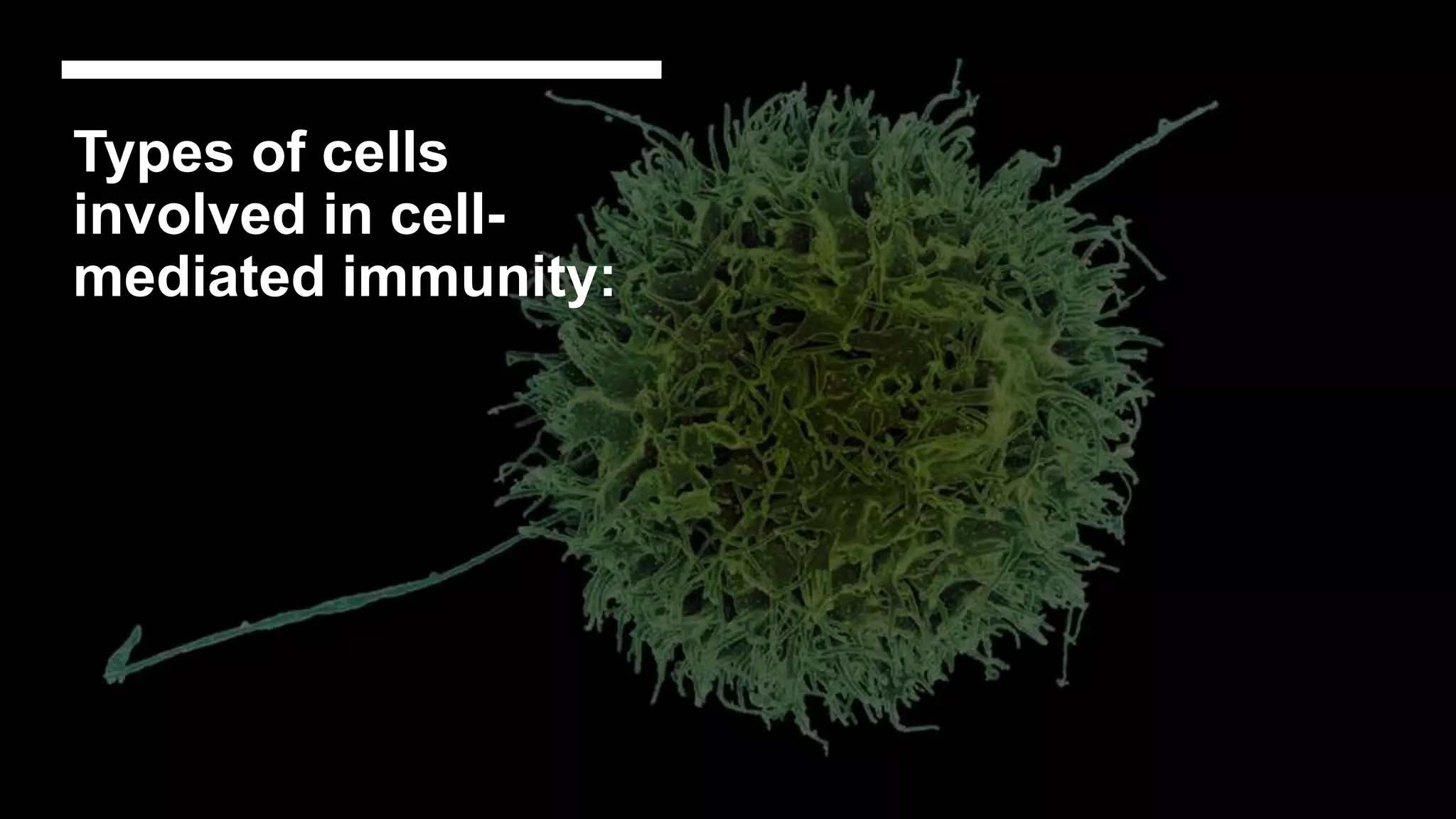 Cell Mediated immunity.pptx