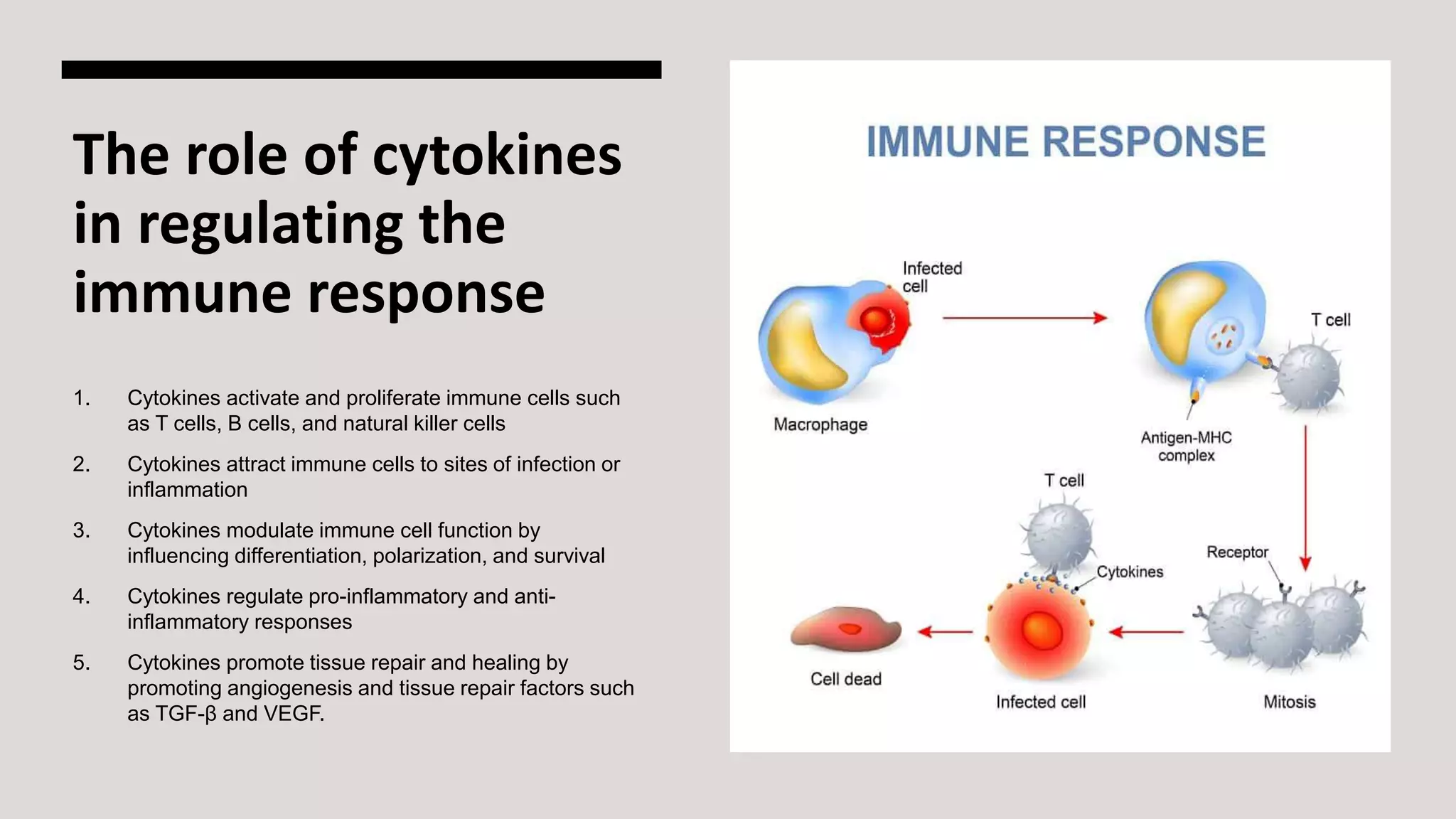 Cell Mediated immunity.pptx