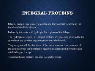 CELL MEMBRANE , RECEPTOR , DRUG RECEPTOR INTERACTION | PPT
