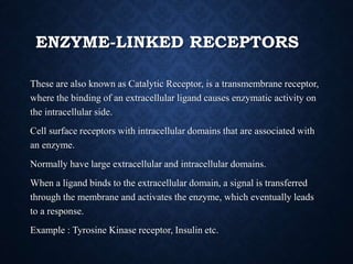 CELL MEMBRANE , RECEPTOR , DRUG RECEPTOR INTERACTION | PPT