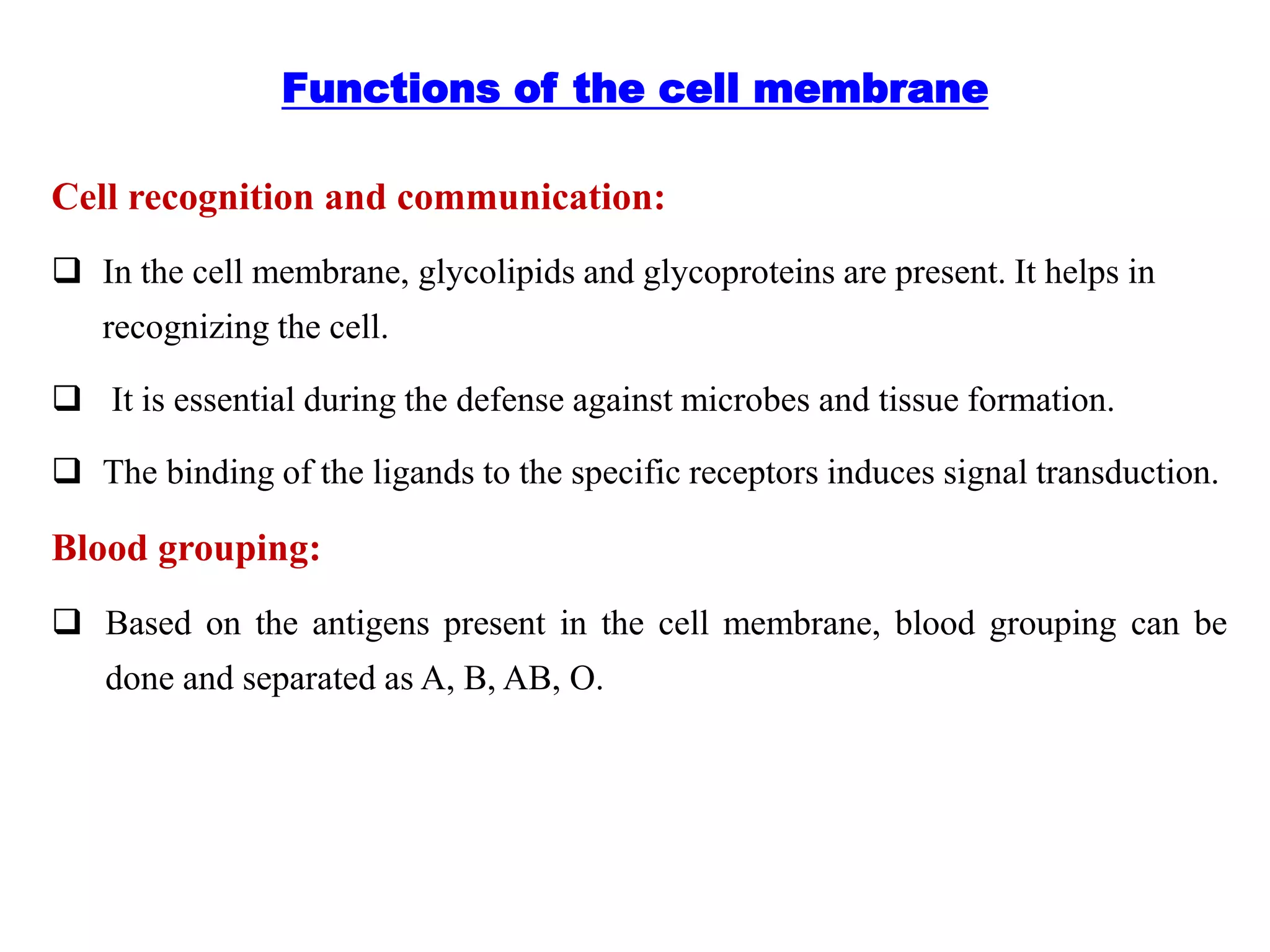 Cell Membarne ppt.pptx