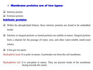 Cell Membarne ppt.pptx