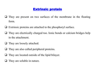 Cell Membarne ppt.pptx