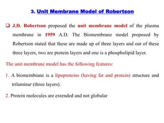 Cell Membarne ppt.pptx