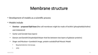 Cell Membrane: Structure, Composition & Functions | PPTX