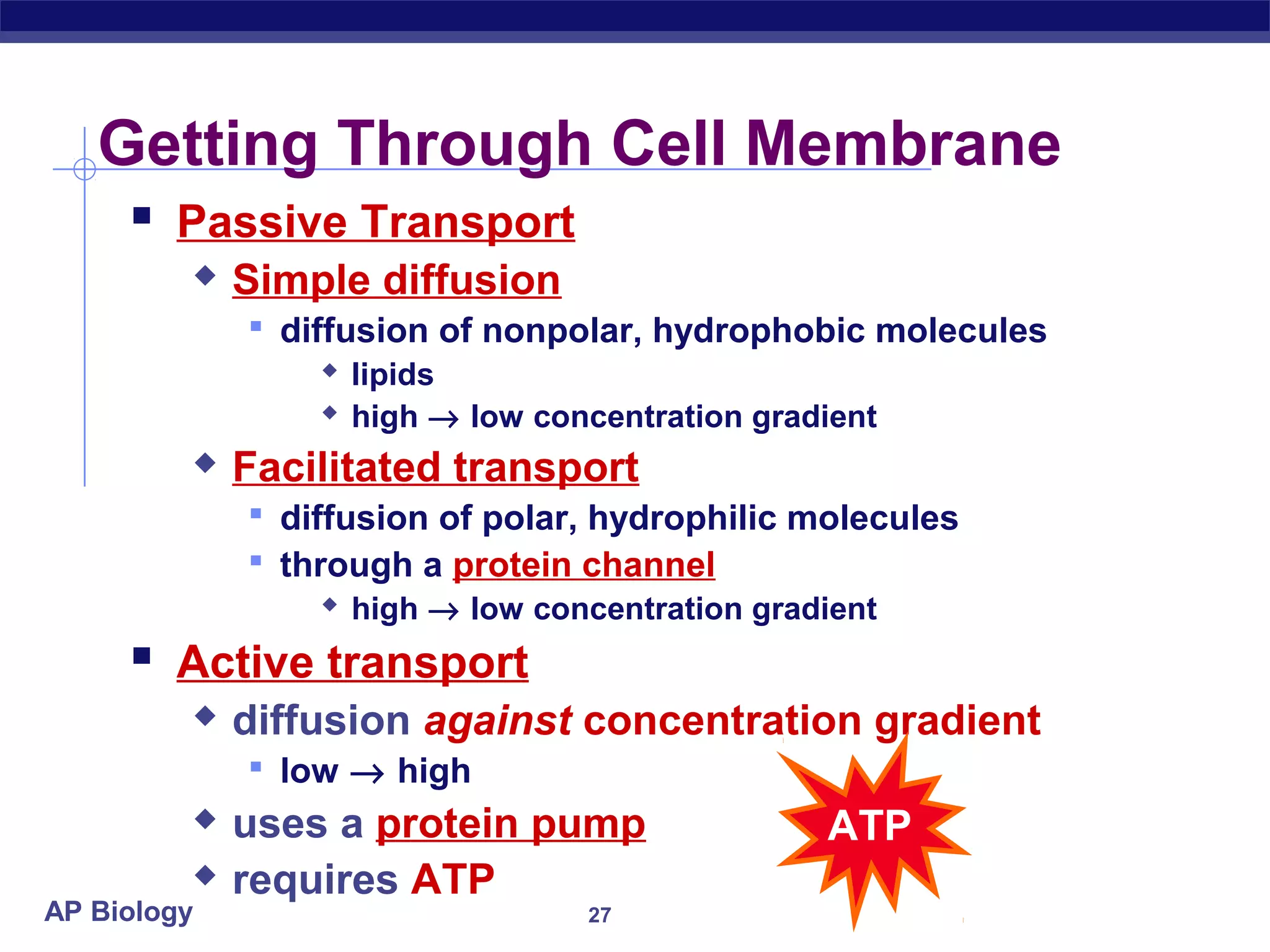 Cell memberane structure,function & machanism | PPT