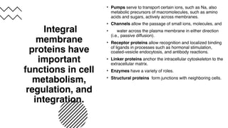 cell memb_lec-2.pdfhjfyfyffhjfhfyfyfguygyug | PDF