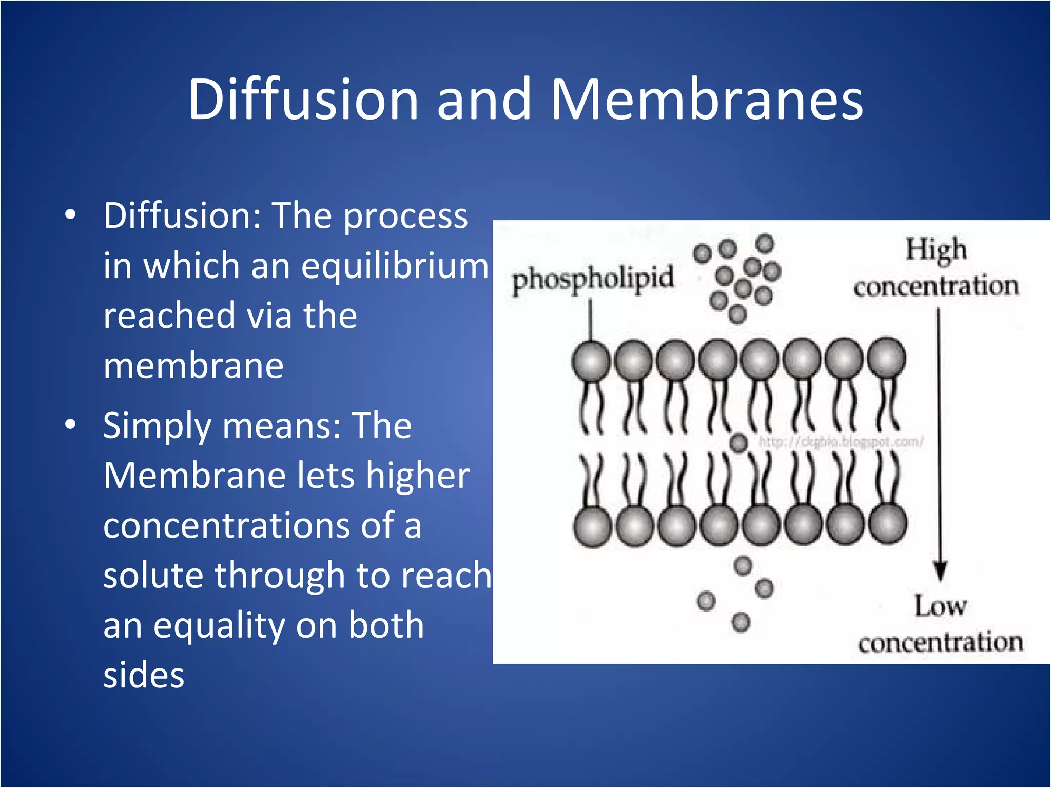 Cell membrane | PPT | Biological Sciences | Science