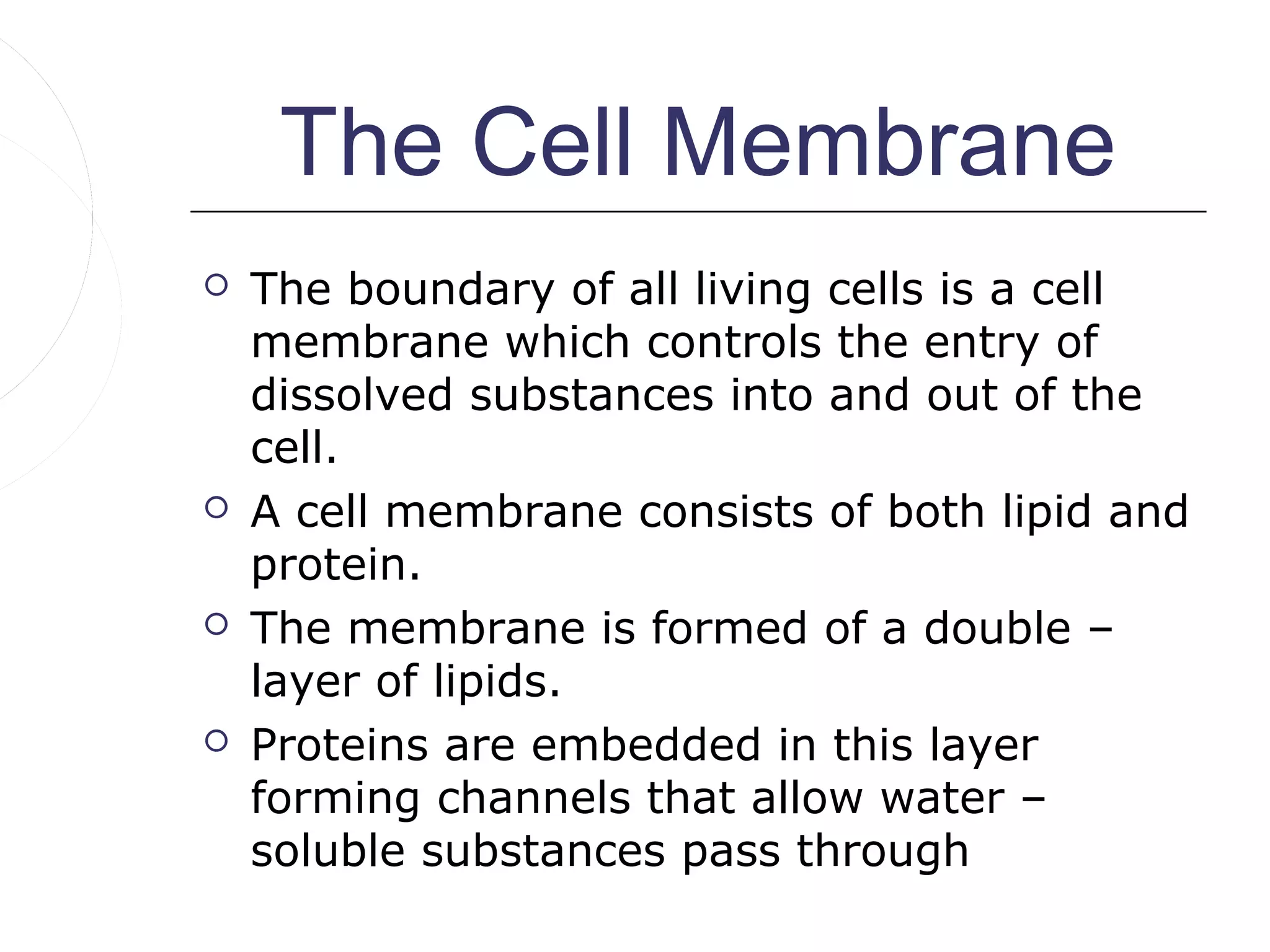 Cell membrane | PPT