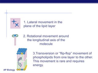 STPM Form 6 Biology Cell membrane | PPTX