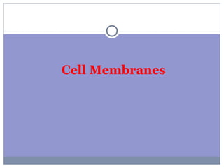 Cell membrane | PPT