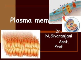 Cell membrane | PPSX