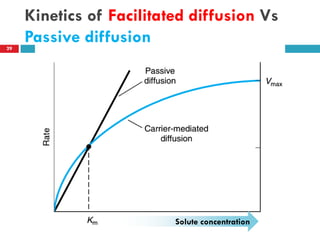 Simple Diffusion Graph