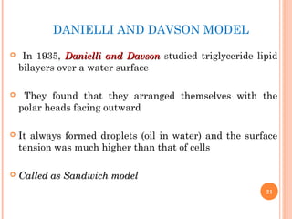 cellmembrane-150926043715-lva1-app6891.pdf