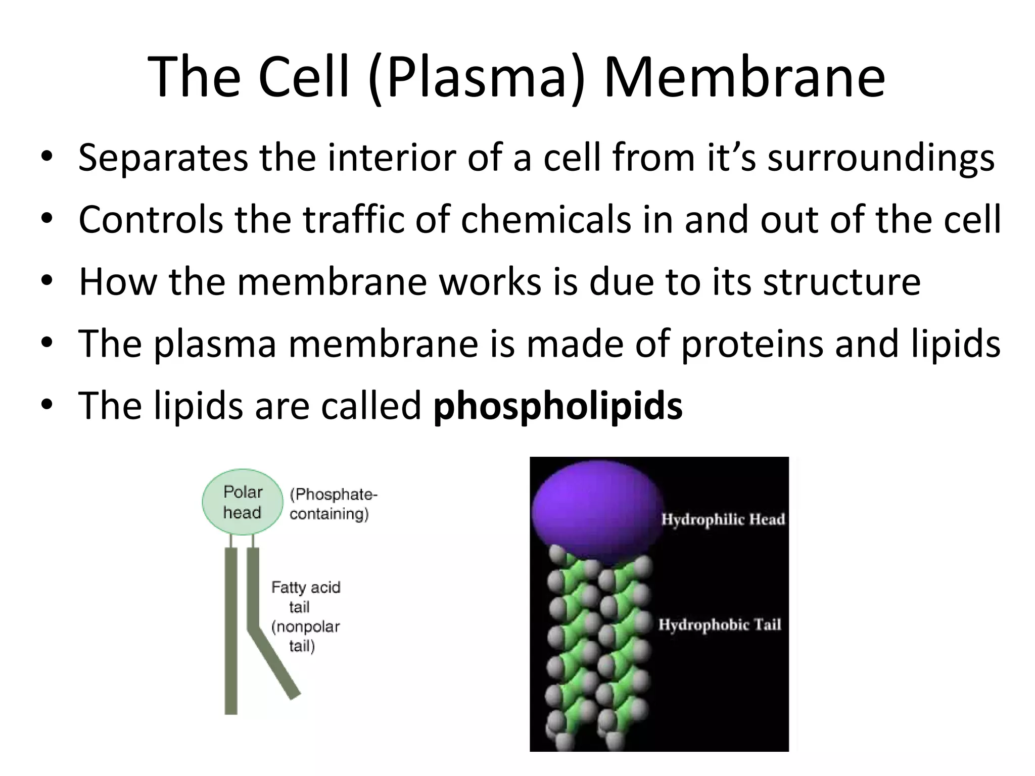 Cell membrane | PPTX