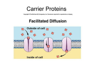 Cell membrane | PPTX