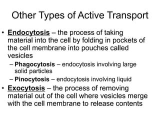 Cell membrane | PPT
