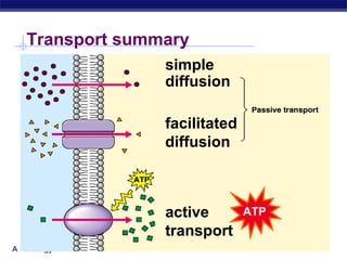 Cell membrane | PPT