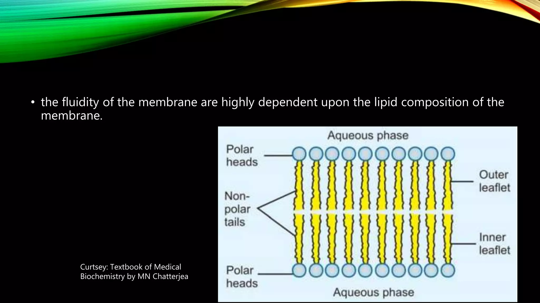Cell membrane by Dr.Tehmas | PPTX | Chemistry | Science