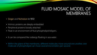 Cell membrane by Dr.Tehmas | PPTX | Chemistry | Science