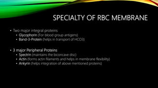 Cell membrane by Dr.Tehmas | PPTX | Chemistry | Science