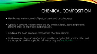 Cell membrane by Dr.Tehmas | PPTX | Chemistry | Science