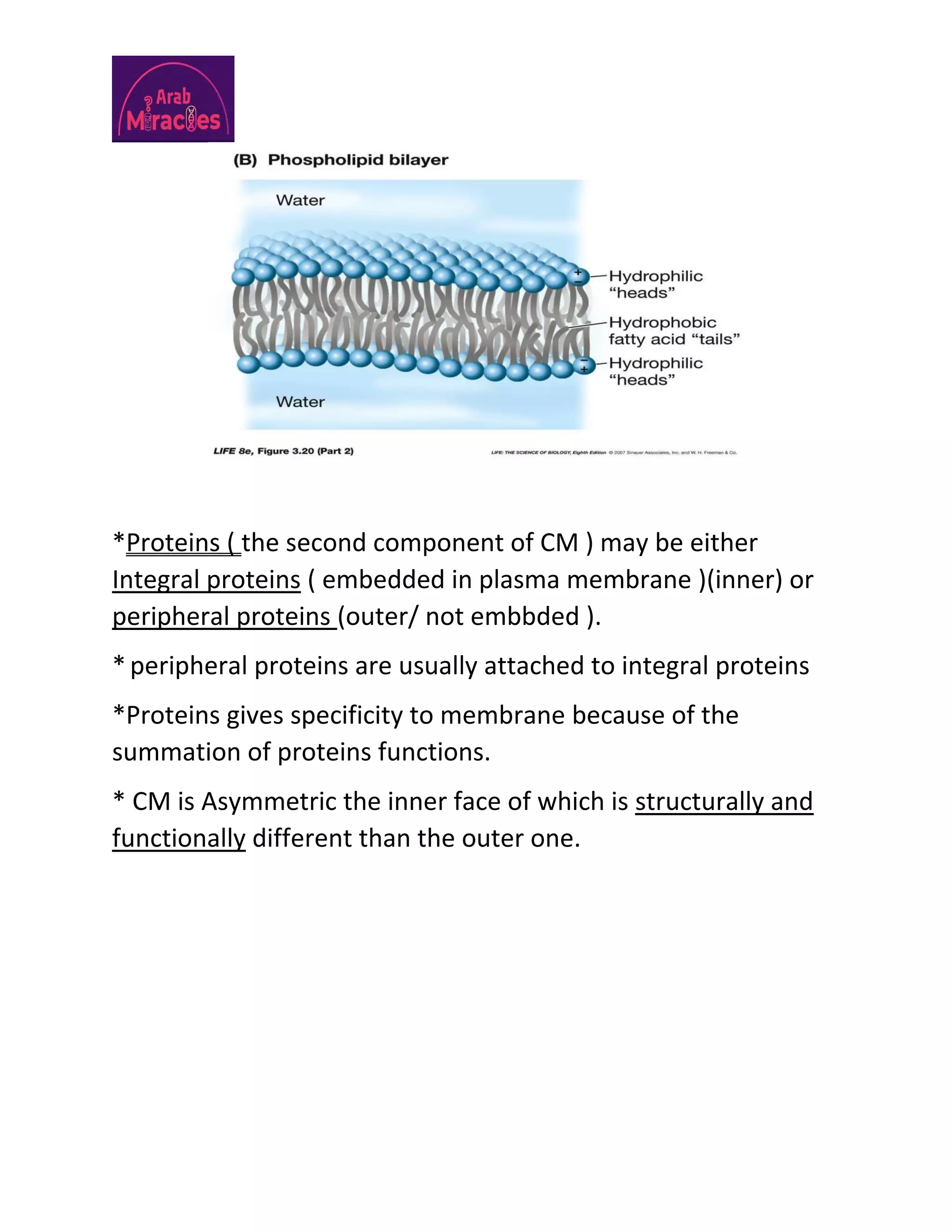 Cell membrane | PDF | Biological Sciences | Science